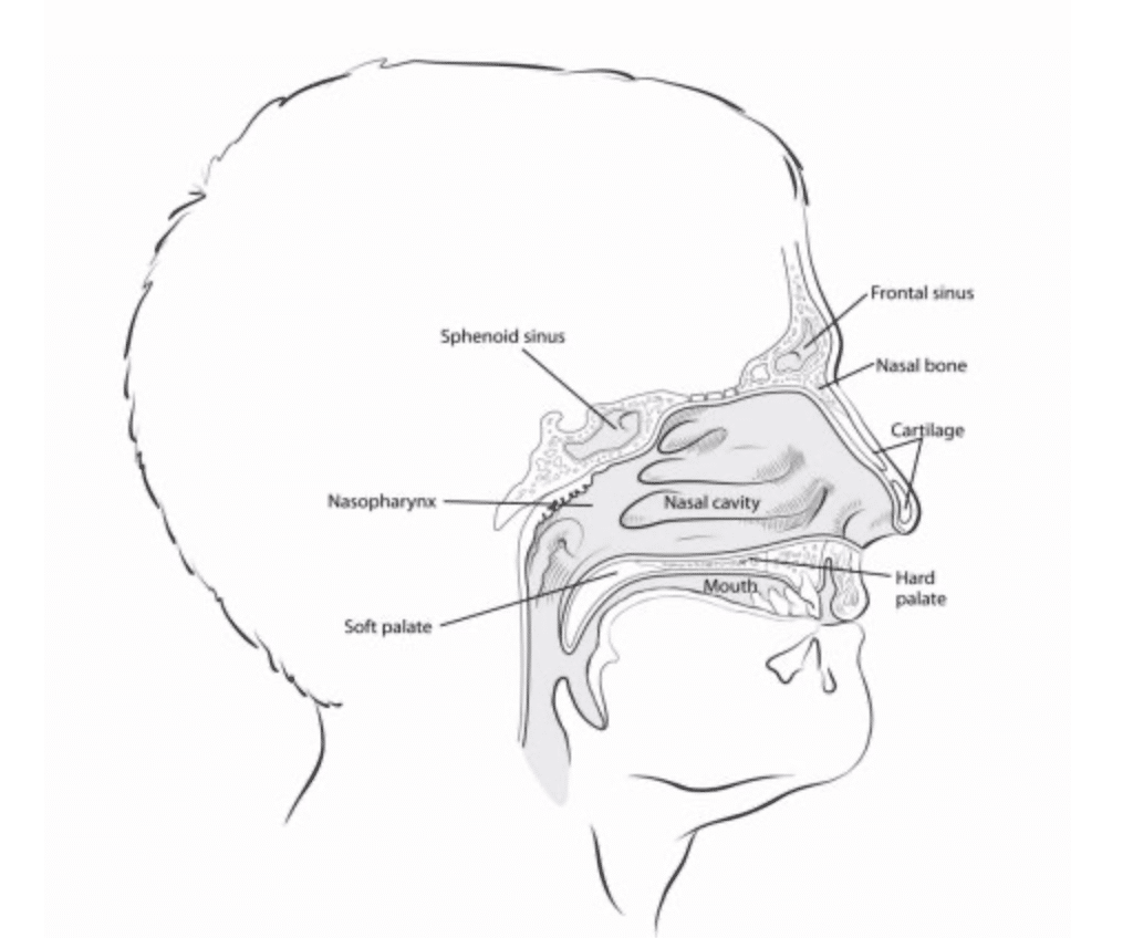 Nasal Cancer Surgery - Renda Clinic